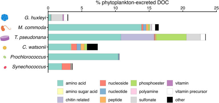 Study reveals hidden 'chemical currency' fueling the ocean's carbon cycle