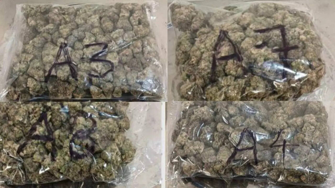 Mumbai airport drug bust: 64 kg hydroponic weed worth Rs 64cr seized, 4 ...