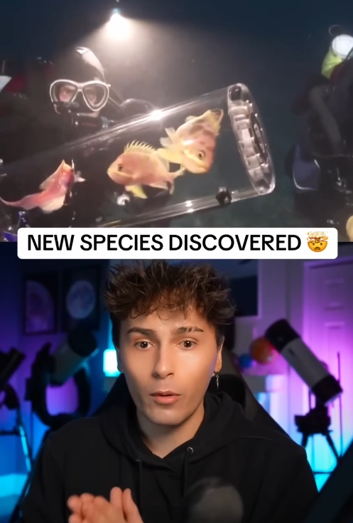 New species discovered, scientists stunned by rare lifeform found in ...
