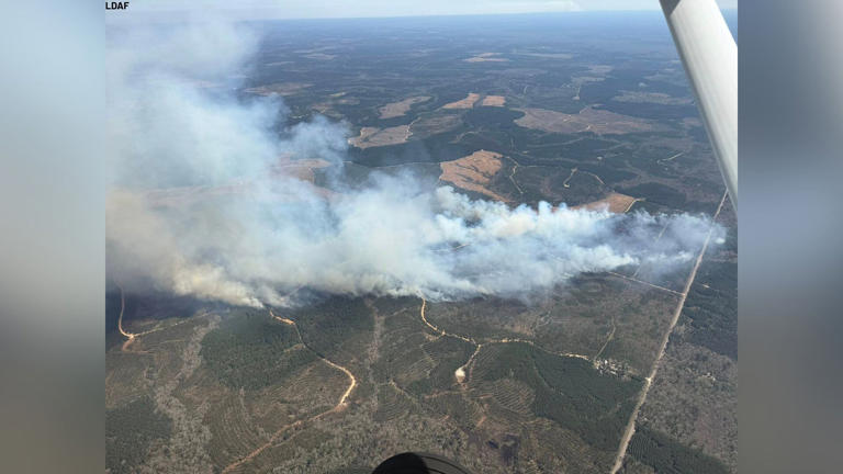 Update: Evacuation order lifted in Winn Parish; forest fire 100% contained