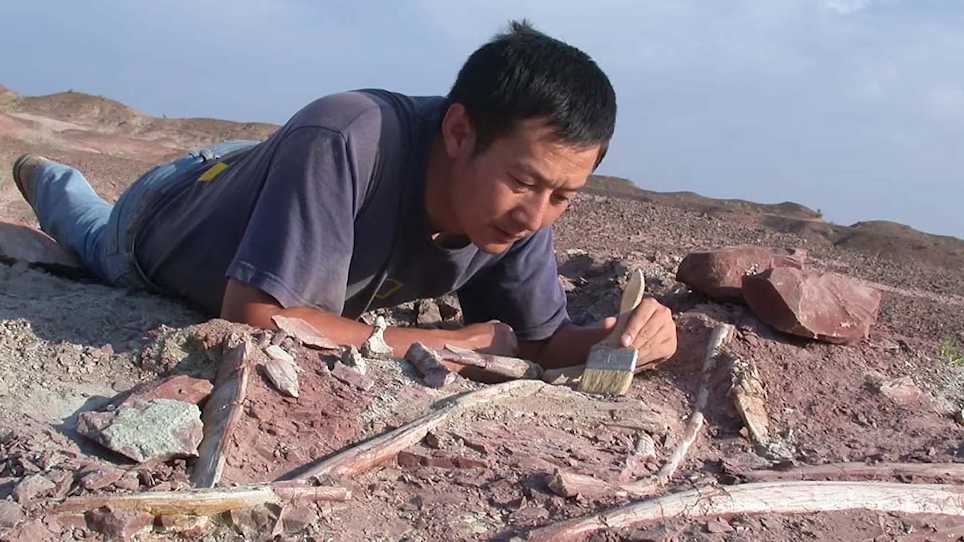 Watch how a man accidentally found a dragon skeleton