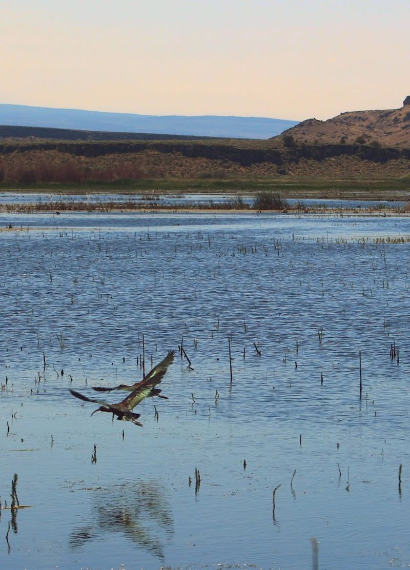 This 50-mile wildlife refuge in Oregon is home to over 320 species of birds