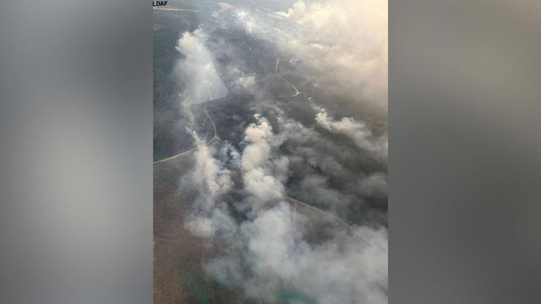 Update: Evacuation order lifted in Winn Parish; forest fire 100% contained