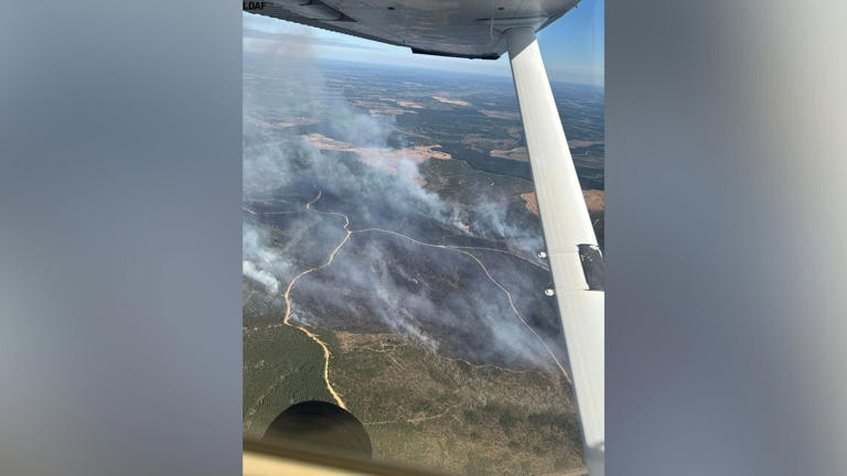 Update: Evacuation order lifted in Winn Parish; forest fire 100% contained