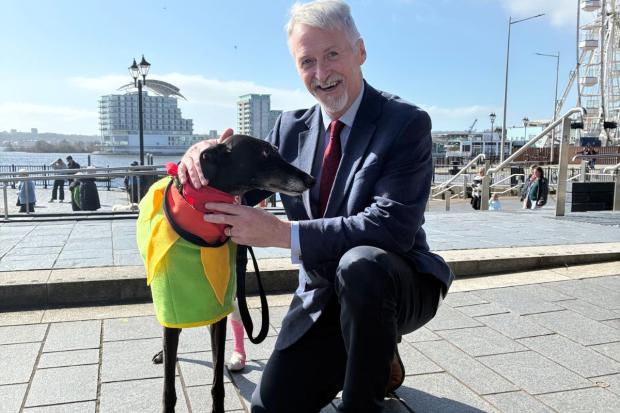 Wales becomes first UK nation to ban greyhound racing in major victory