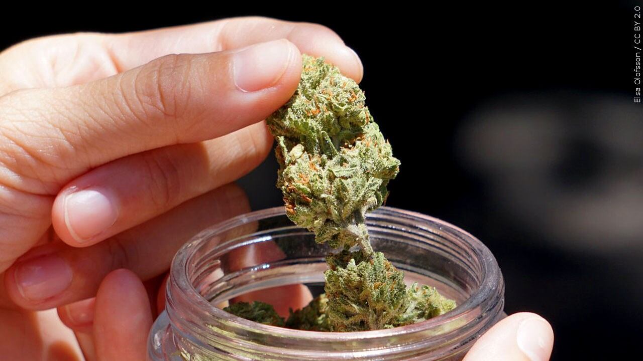 Massive overhaul to Ohio cannabis laws on the way after group fails to ...
