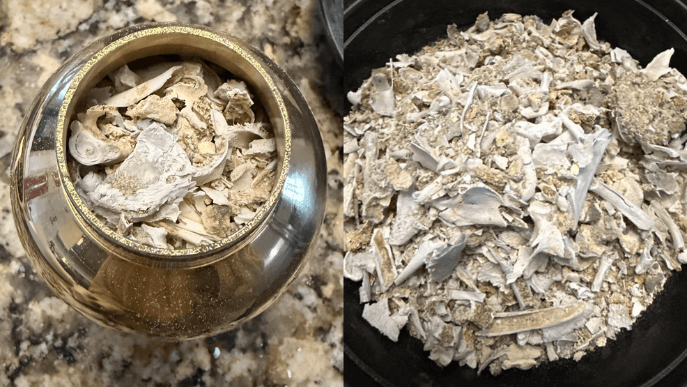 'There's bones inside this jar' Tennessee woman seeks owner of Goodwill ...