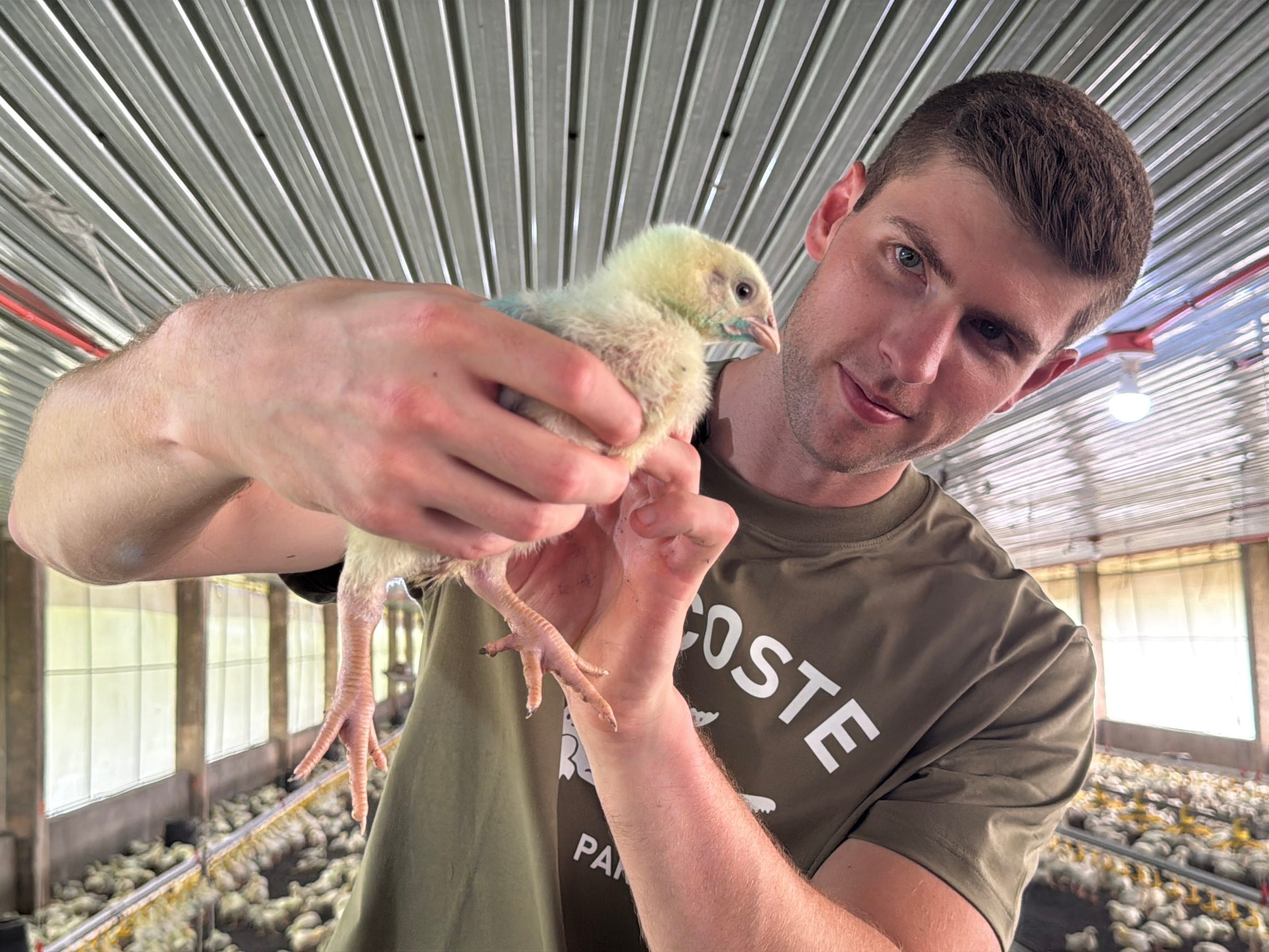 I got tired of the corporate hustle, so I quit my 6-figure banking job ...