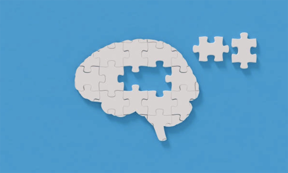 Your brain was built for survival — not for success