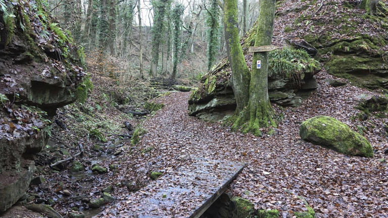 Geheimnisvolle Schlucht: Ein Ausflug in die Erdgeschichte