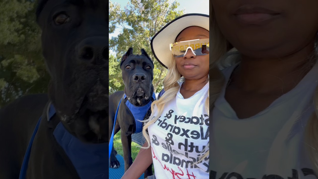 The truth about living with a giant guard dog