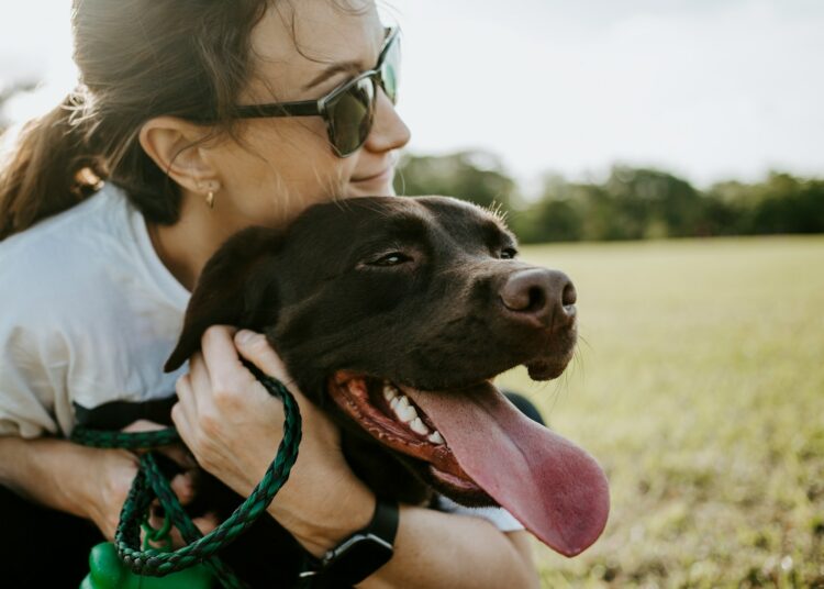 15 reasons why random dogs like you
