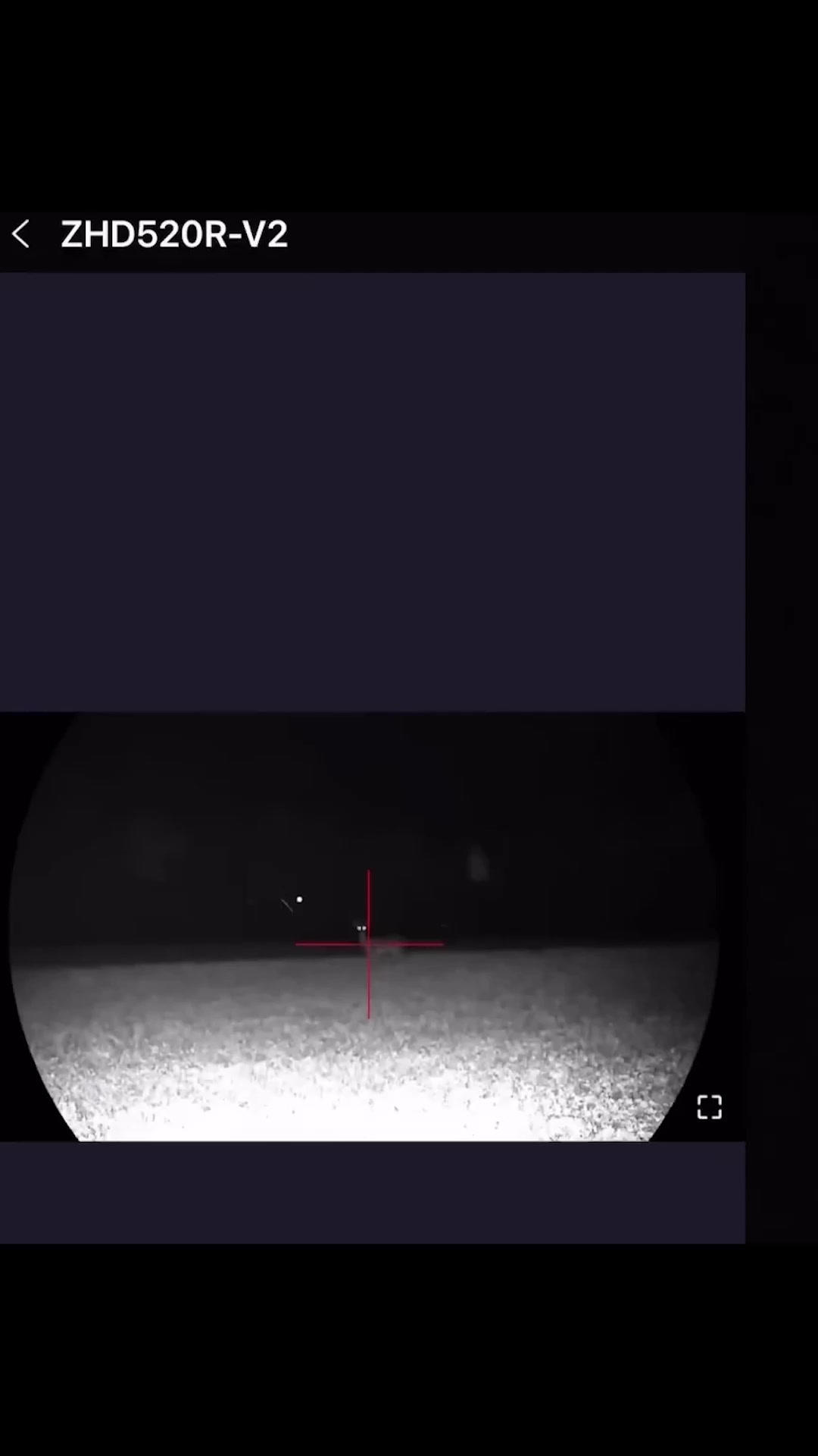 We hunted overpopulated deer at night