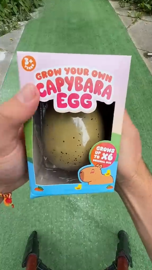 Hatching A Capybara Egg The Cutest Surprise Ever