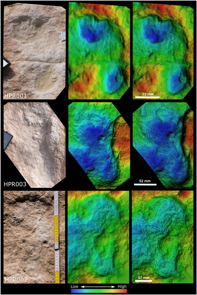 Scientists found 120,000-year-old footprints where humans were never ...
