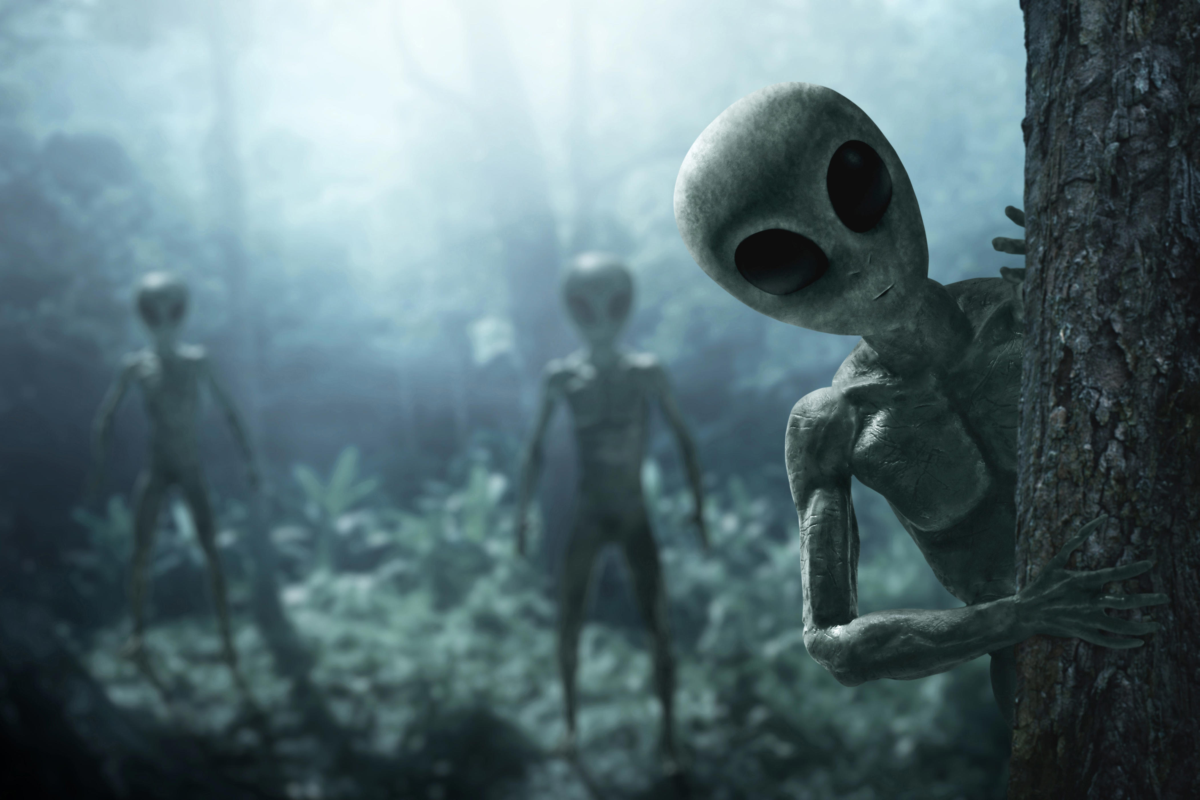 White House registers aliens.gov domain weeks after Trump's UFO file pledge