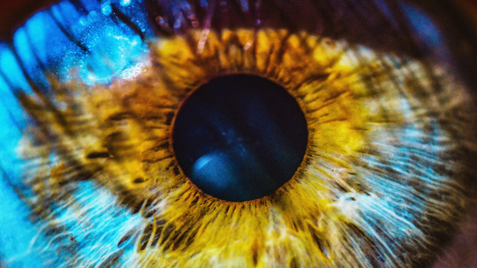 How 1 patient’s healthy eye is being used to cure his blind eye