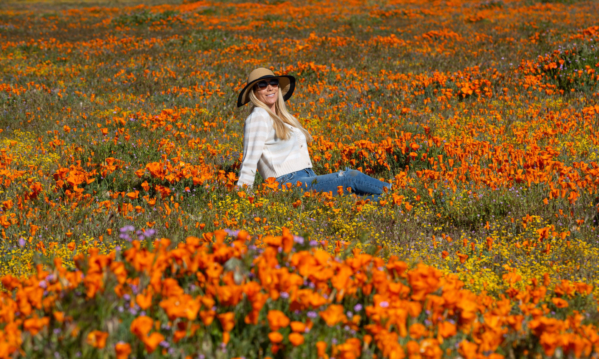 The official flowers of every US state