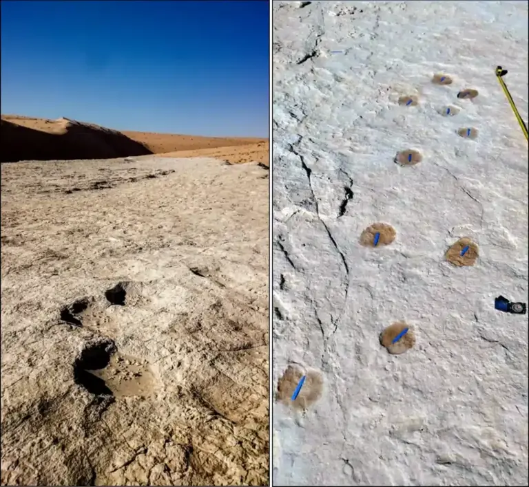 Scientists found 120,000-year-old footprints where humans were never ...
