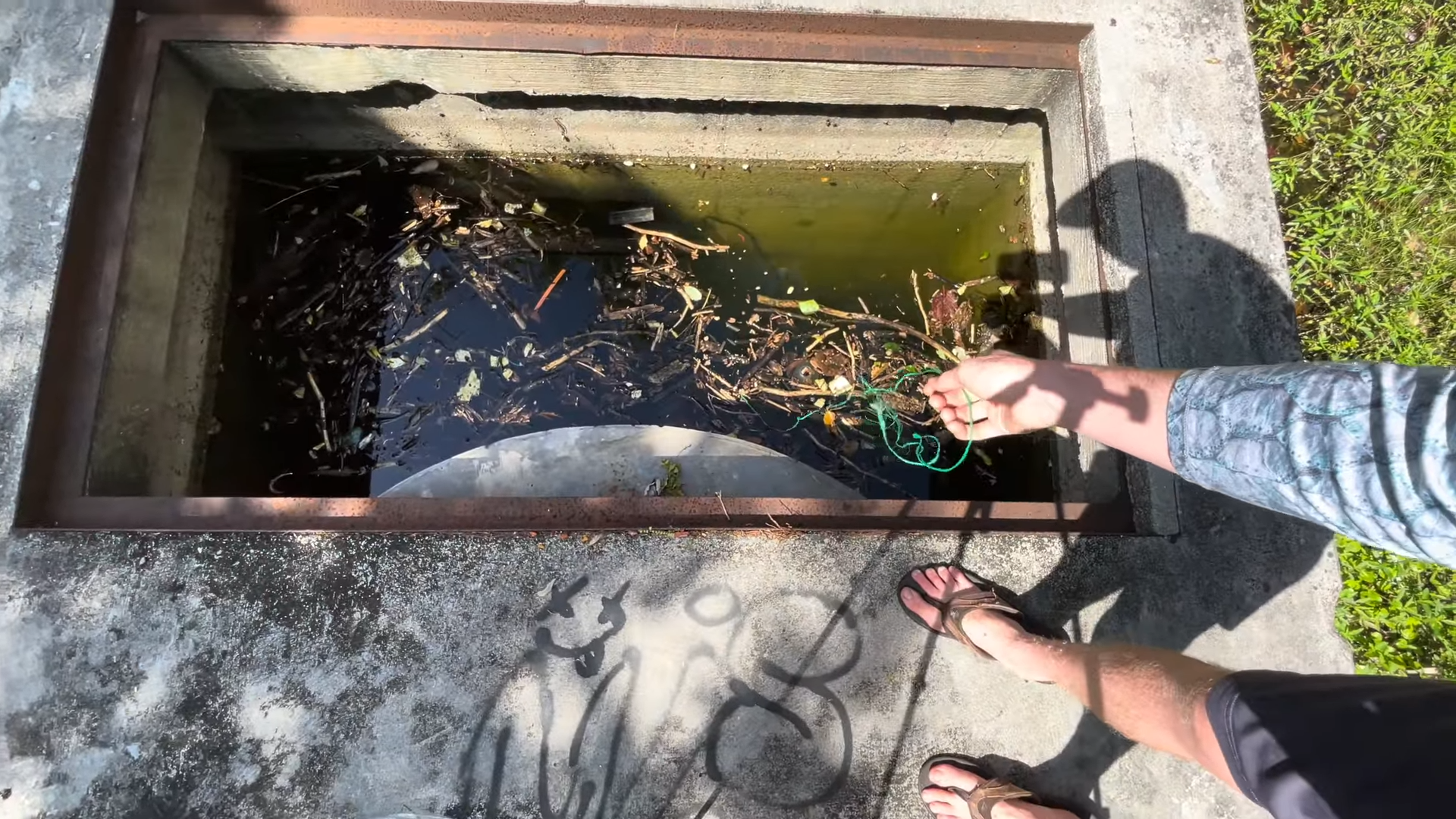 We dropped a trap into a parking lot sewer and couldn’t believe it