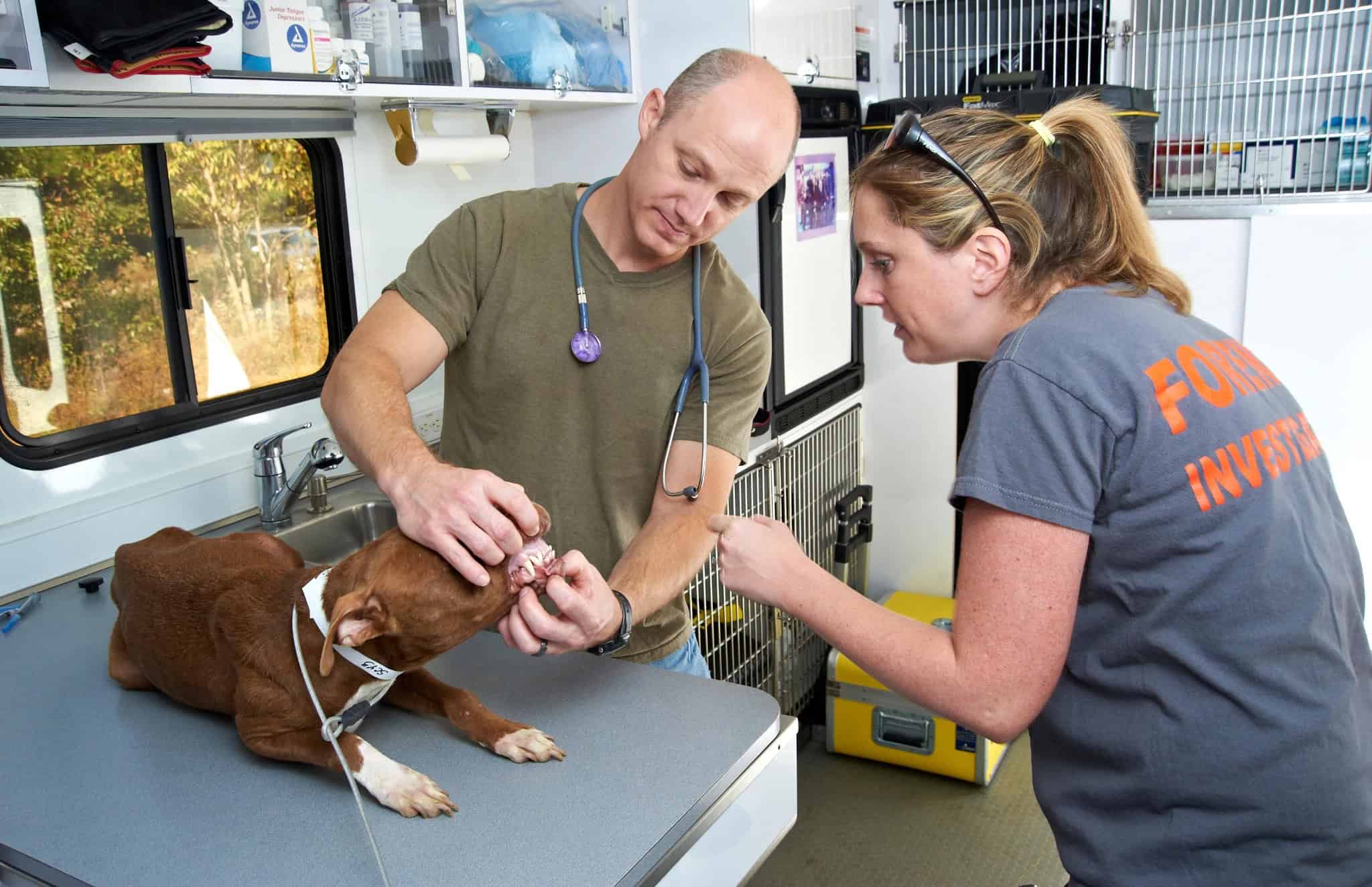 Inside the ASPCA lab helping solve animal cruelty crimes
