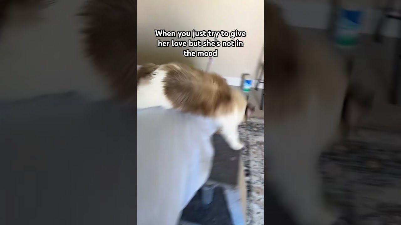 Man tries giving love but distracted girl is not in mood
