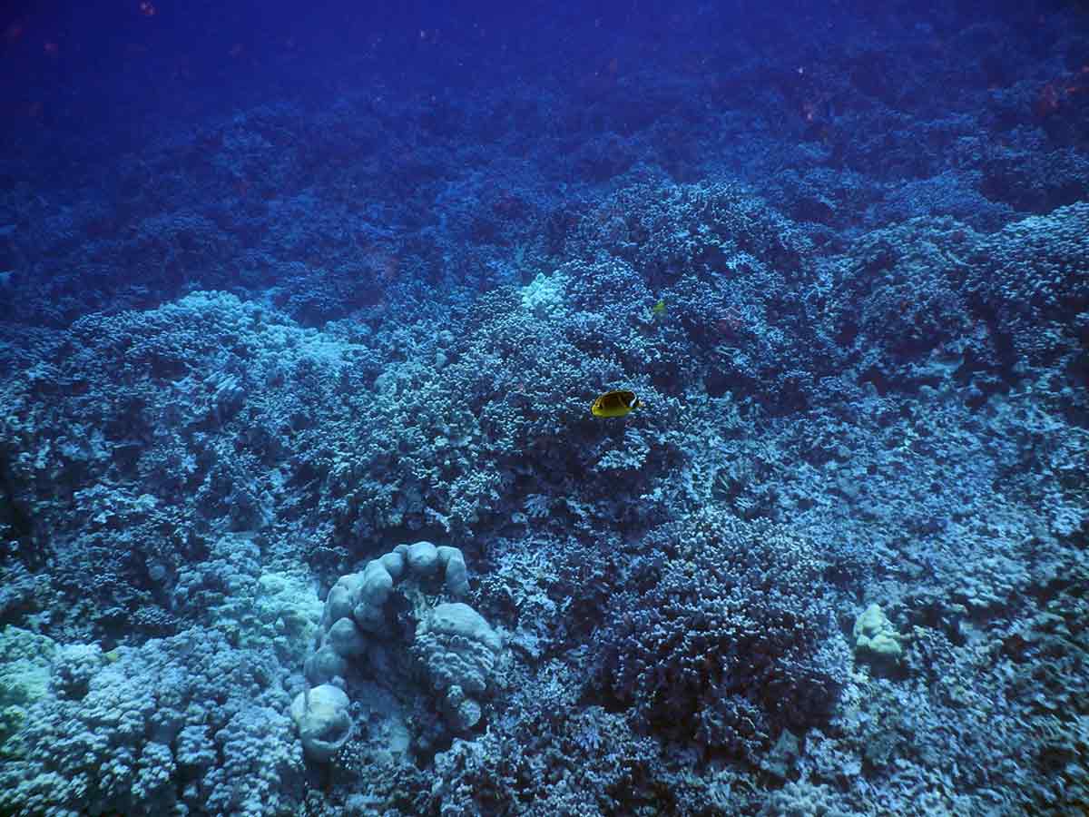 Your Hawaii bucket list: top things to do and see