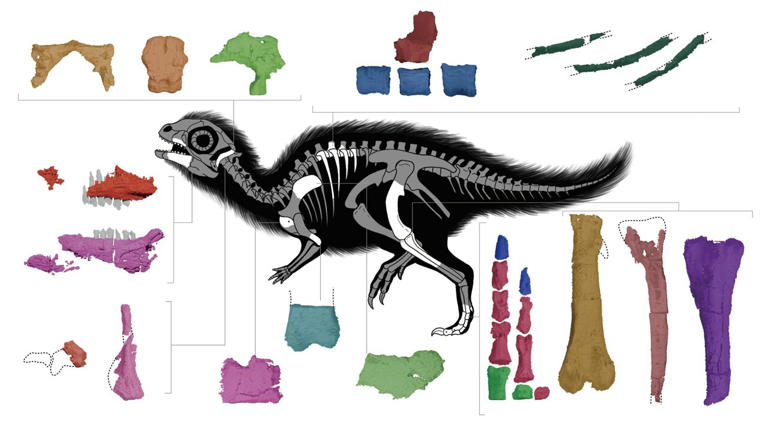 Fossil X-ray reveals new species of baby dino named for iconic Korean ...