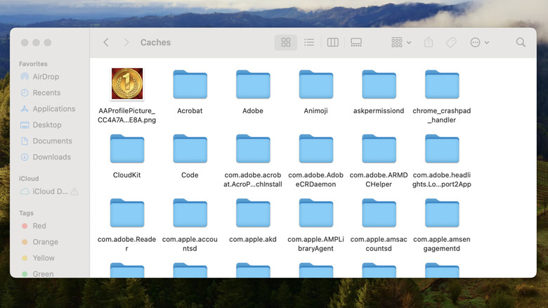 How to clear your system data on Mac