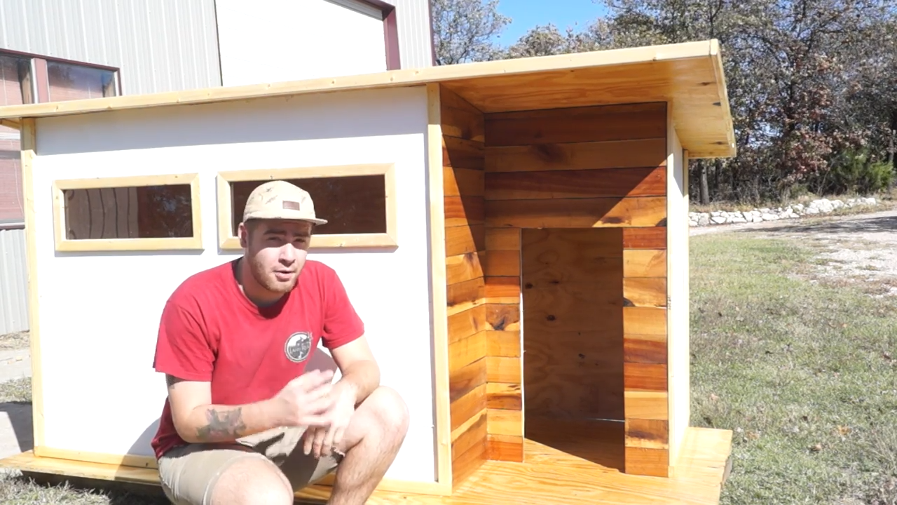 I built my dog a luxury house... now my wife wants me out