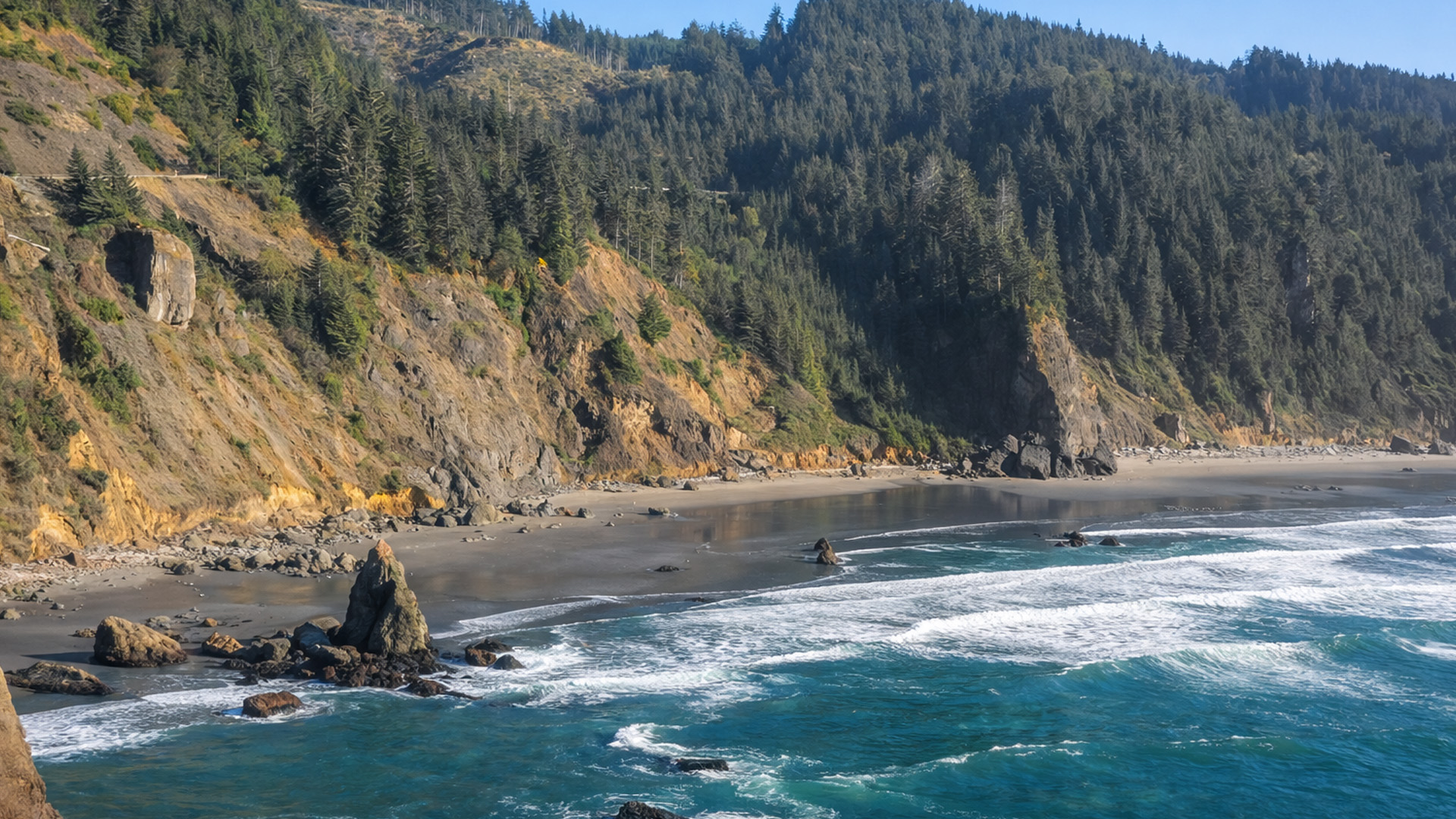 A remote Pacific coast hidden beneath forested cliffs