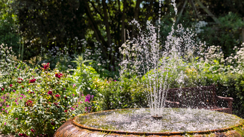 The potential drawbacks of installing a fountain in your yard