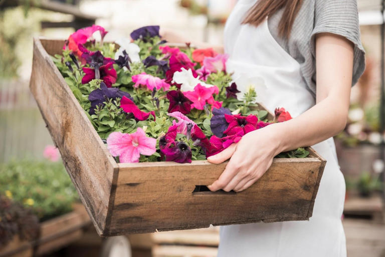 What is the 3-year rule in gardening?