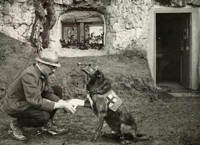 47 rare historical photos that reveal the past in a new way