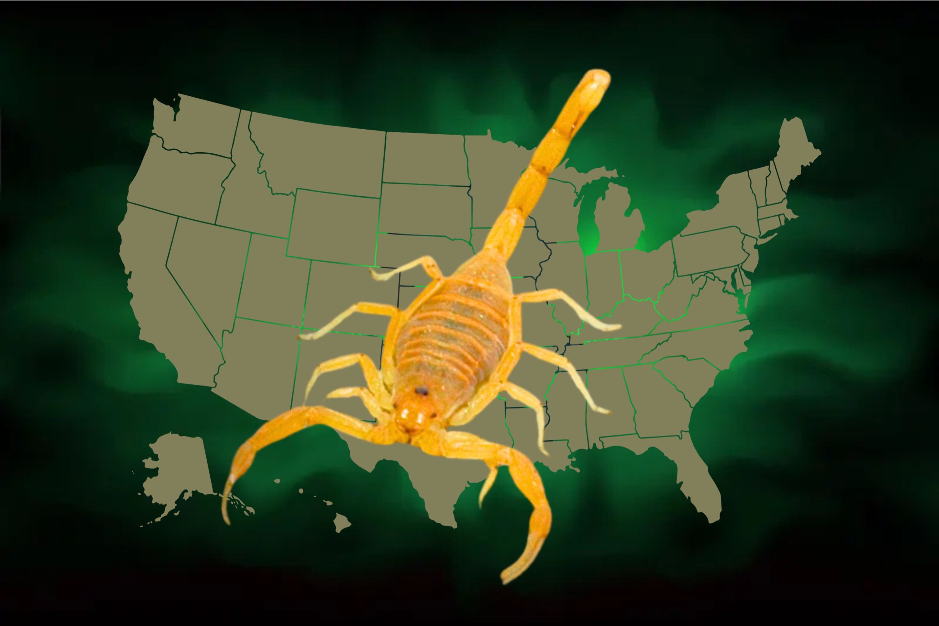 Millions of scorpions emerging early sparks warning