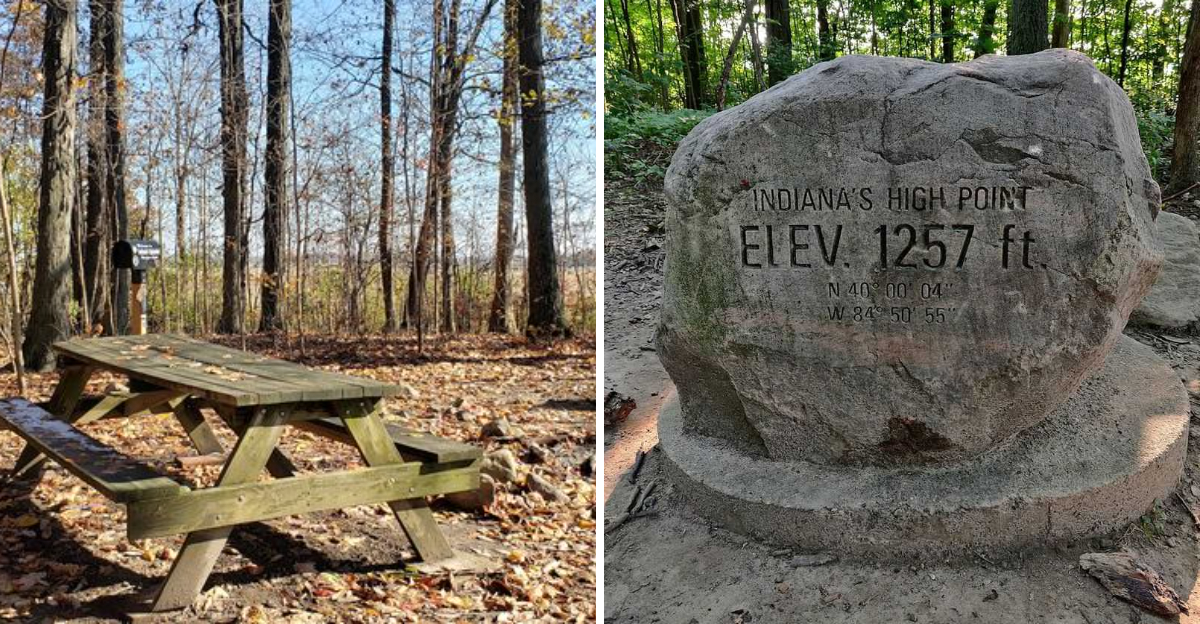 This hidden Indiana peak is the state’s highest point, and it hides a ...