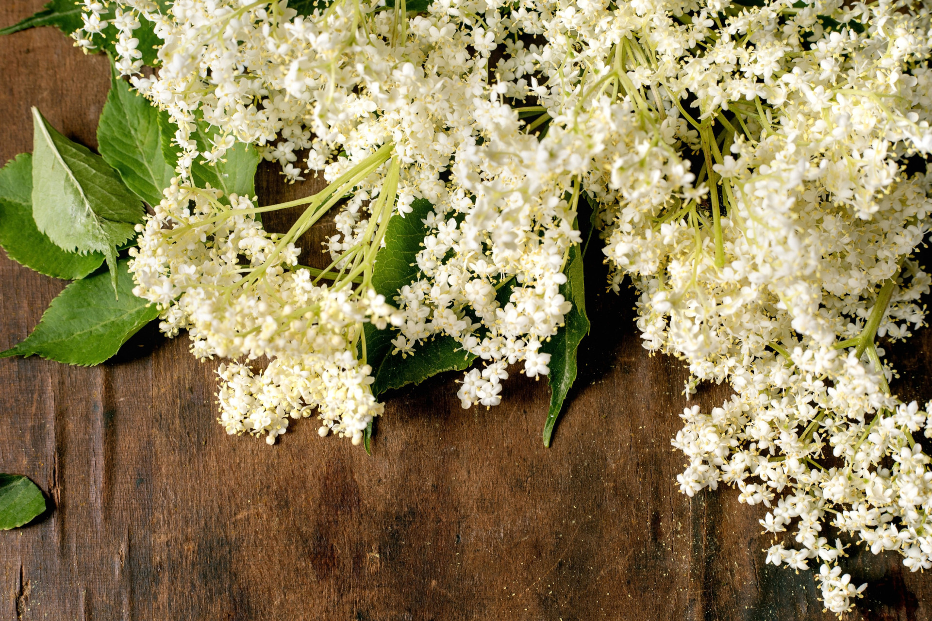 Can flower essences boost vitality?