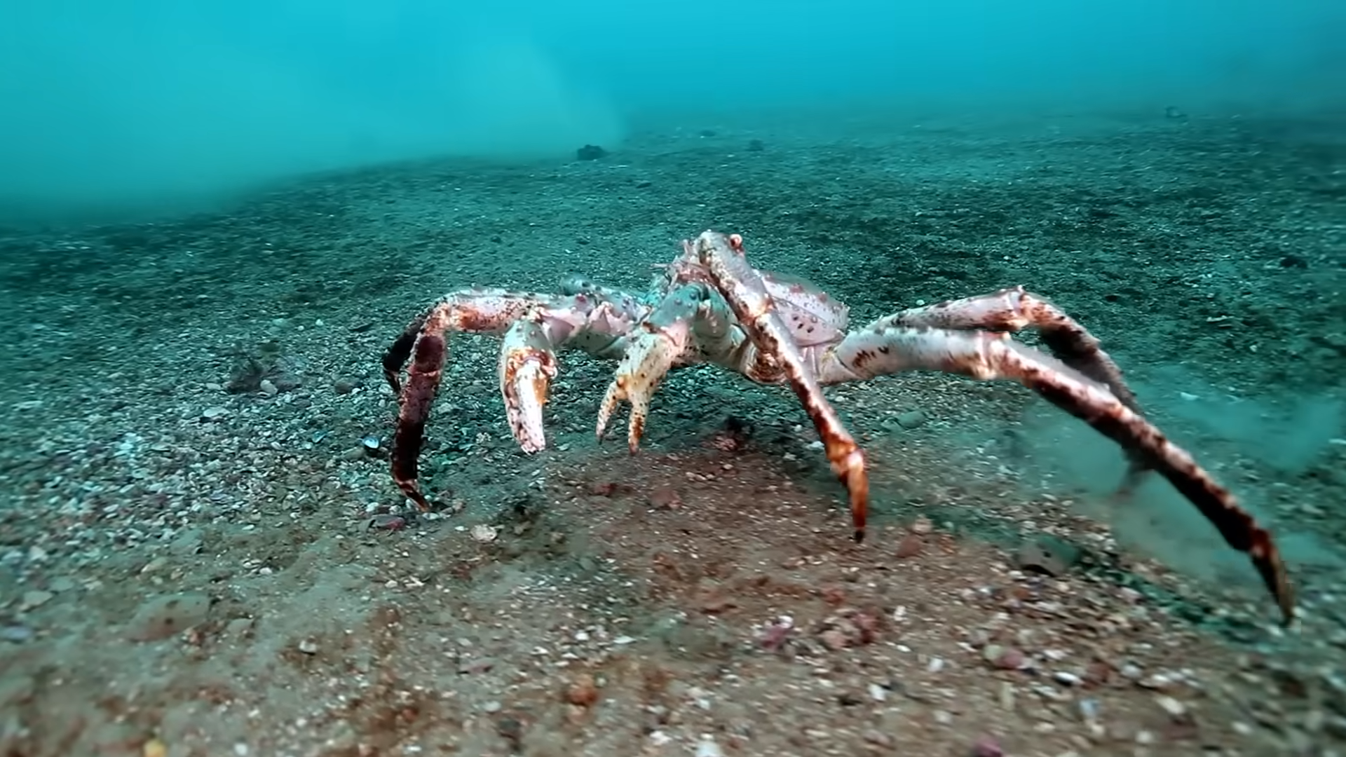 The technical barriers to producing freshwater from the ocean