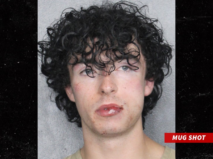 Florida St. football's Conor McAneney arrested on spring break, rocks ...