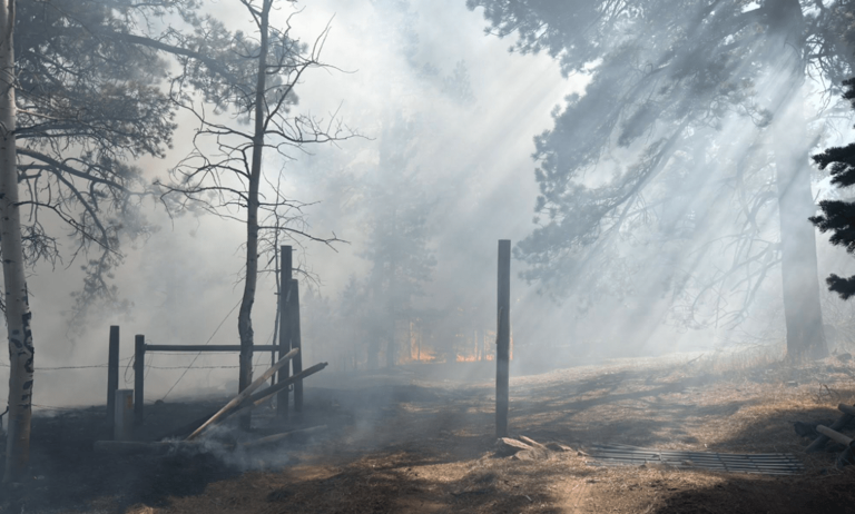 Mandatory evacuations remain in place for Buttermilk Fire in Custer County