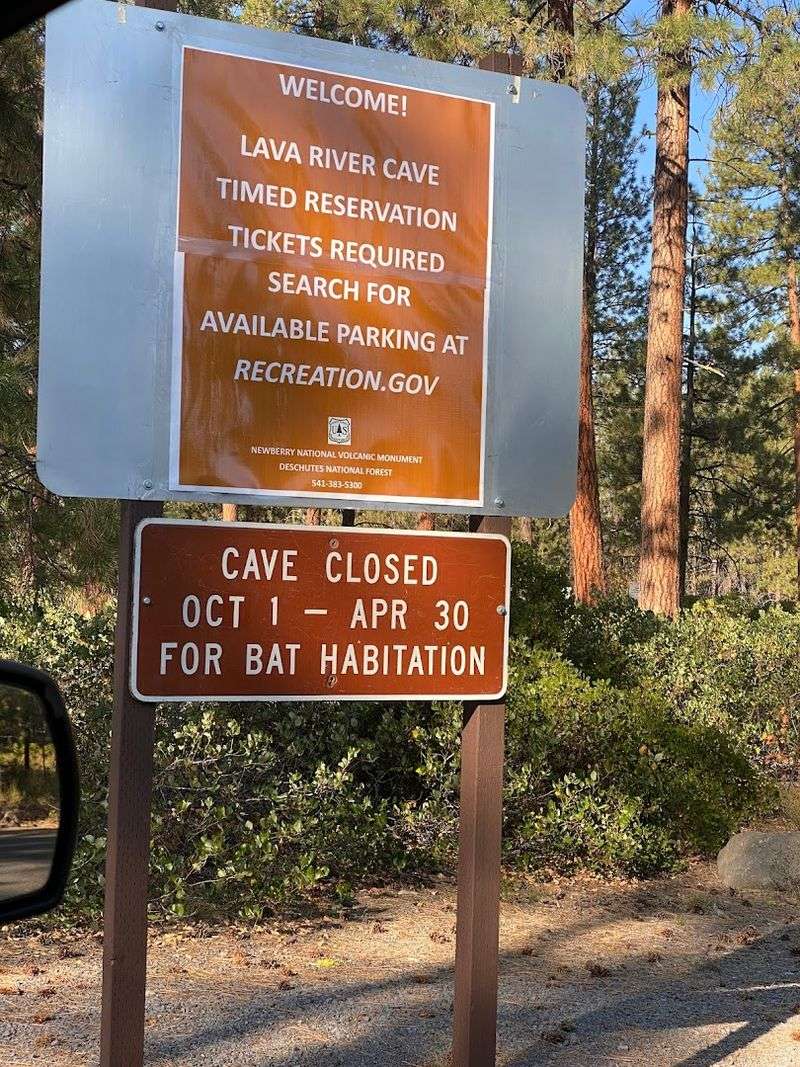 This Oregon underground lava cave hike belongs on your bucket list