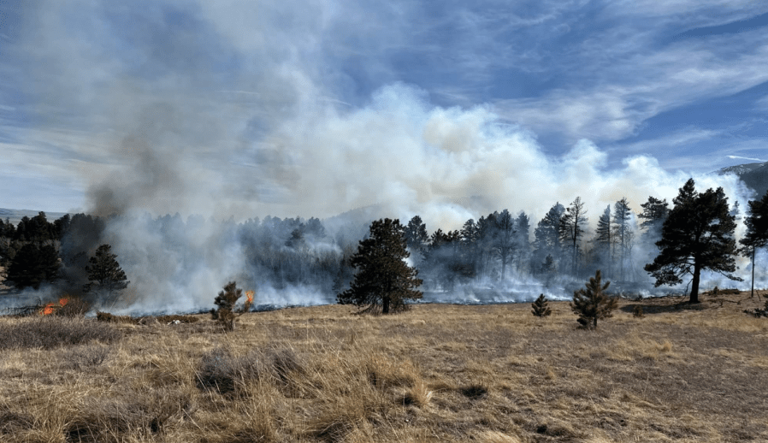 Mandatory evacuations remain in place for Buttermilk Fire in Custer County