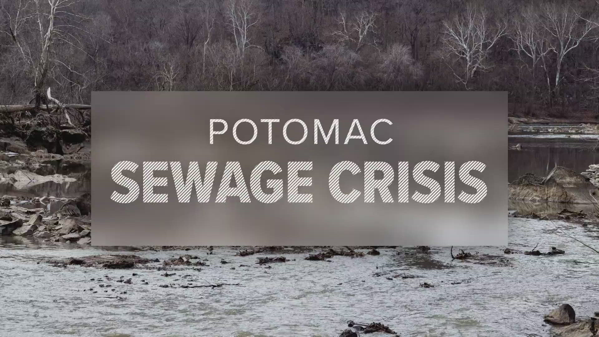 Community meeting held to address next steps in Potomac sewage spill