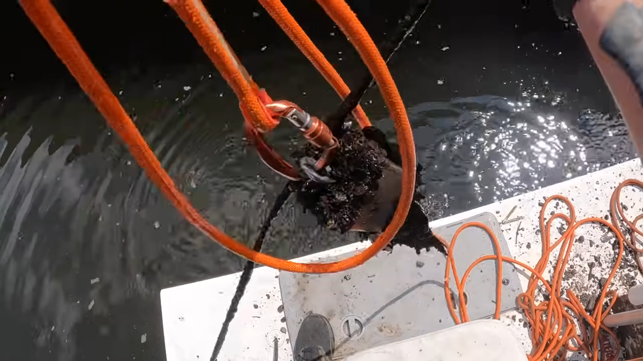 This river looked normal until we pulled this out of it