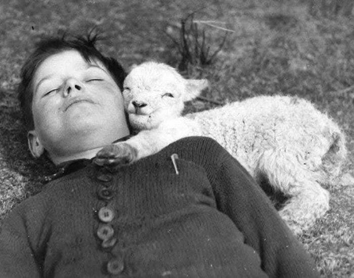 47 rare historical photos that reveal the past in a new way