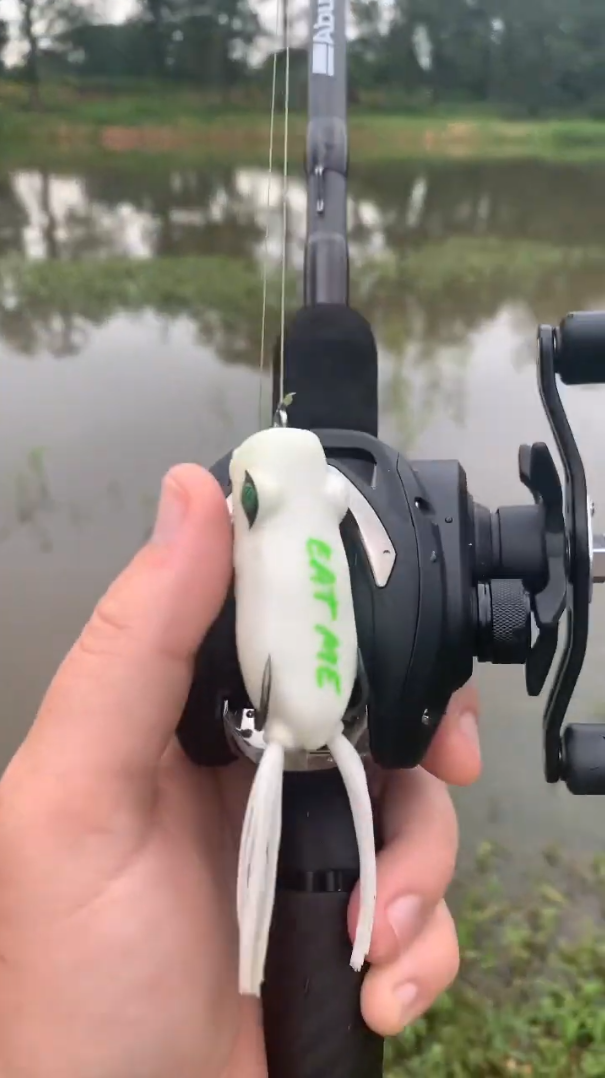 Summer goat: The best summer fishing lures and tips