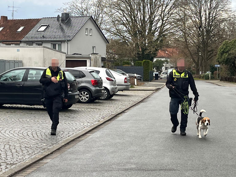 Verletzte Frau aus Celle weiter vermisst: Was passierte Michelle H.?