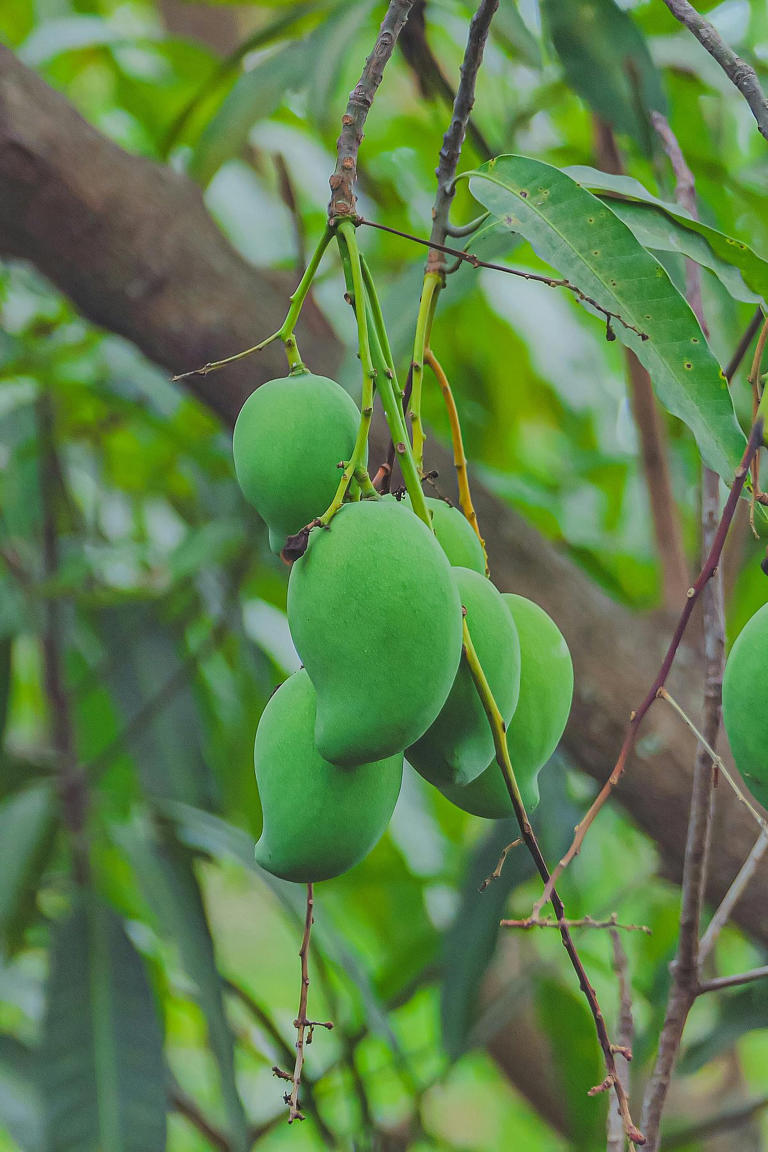 Five 'cooling' foods that actually heat you up