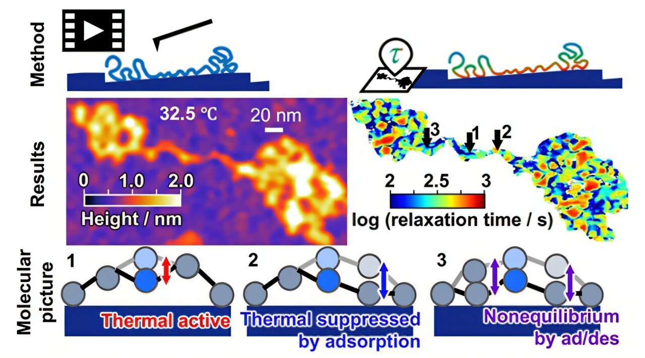 Study captures single polymer segments sticking and slipping on surfaces