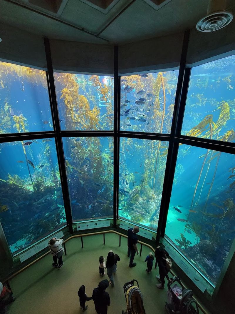 15 best aquariums in the world for rare marine life and spectacular ...